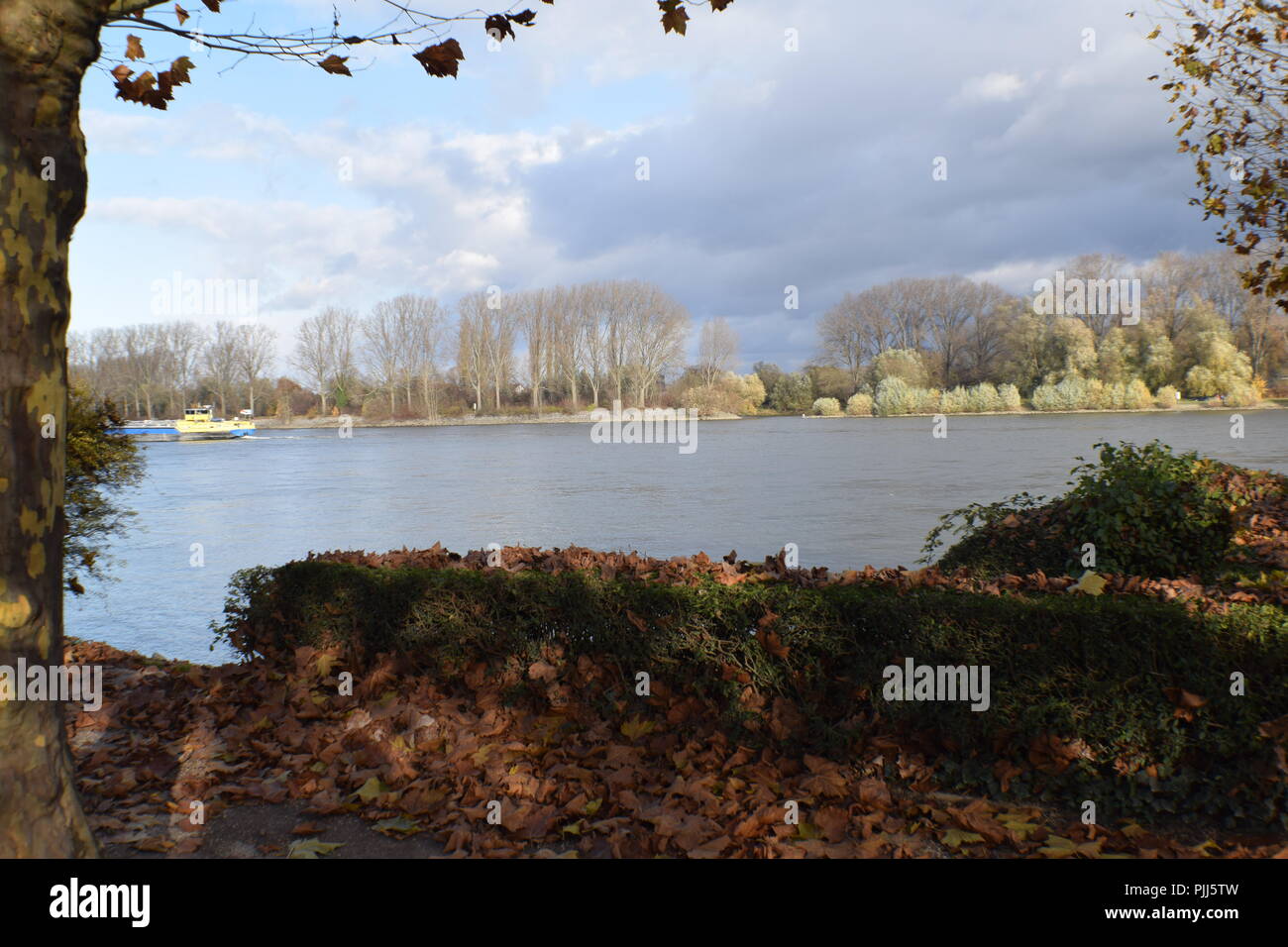 Rheinpromenade worms hi-res stock photography and images - Alamy