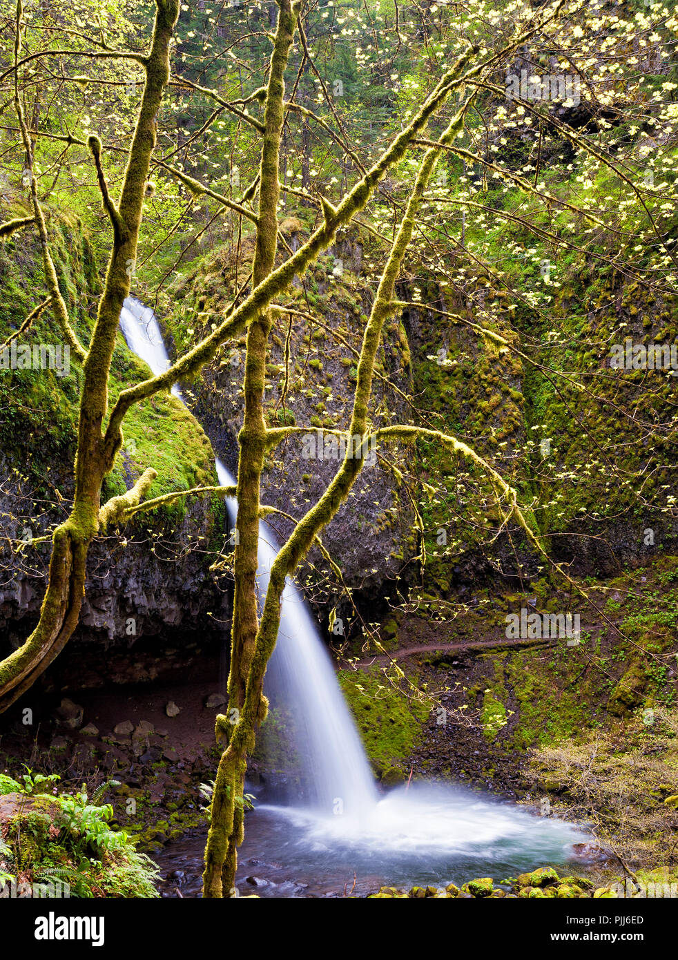 Spring water feature hi-res stock photography and images - Alamy