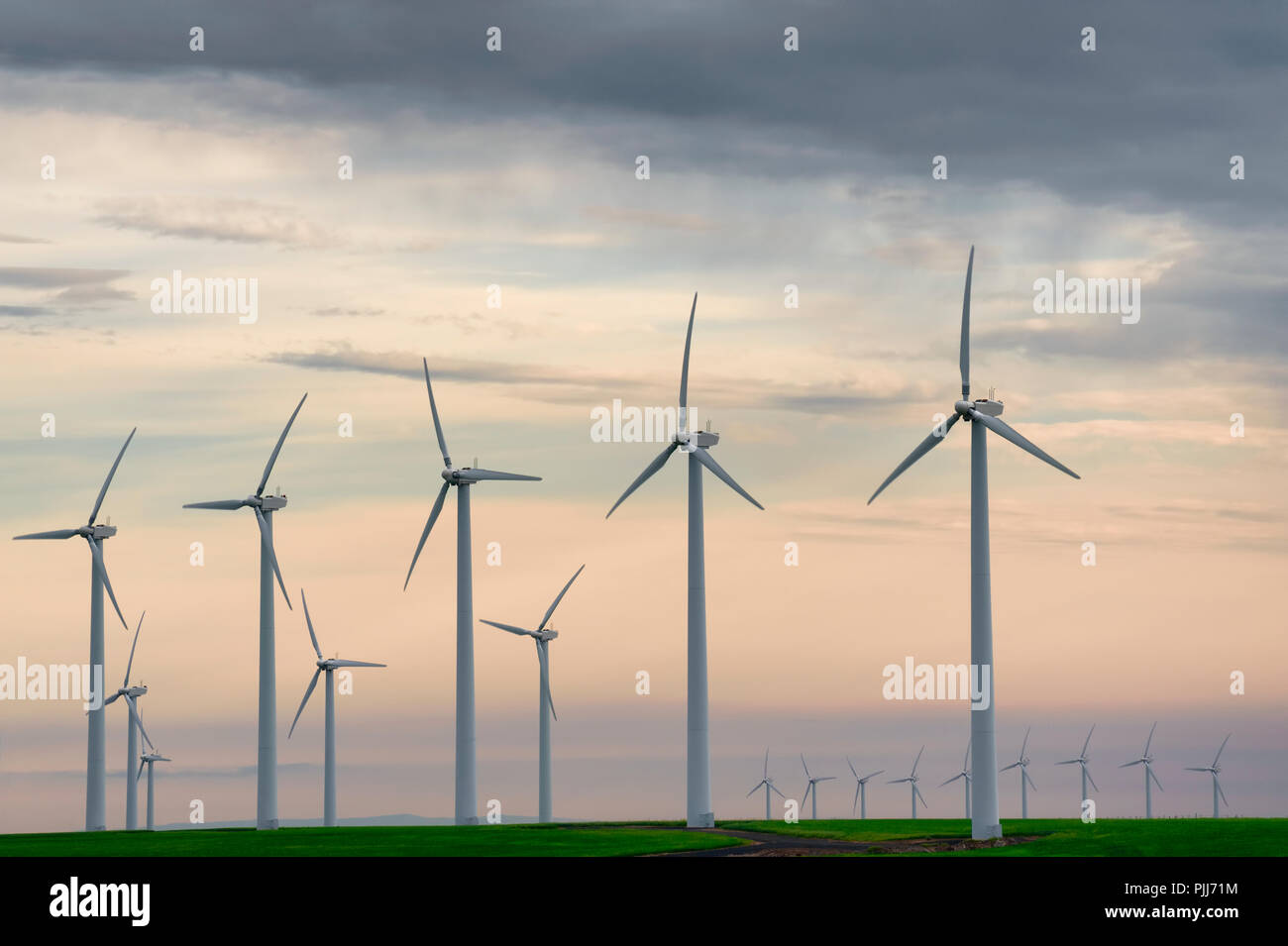 Wasco hi-res stock photography and images - Alamy