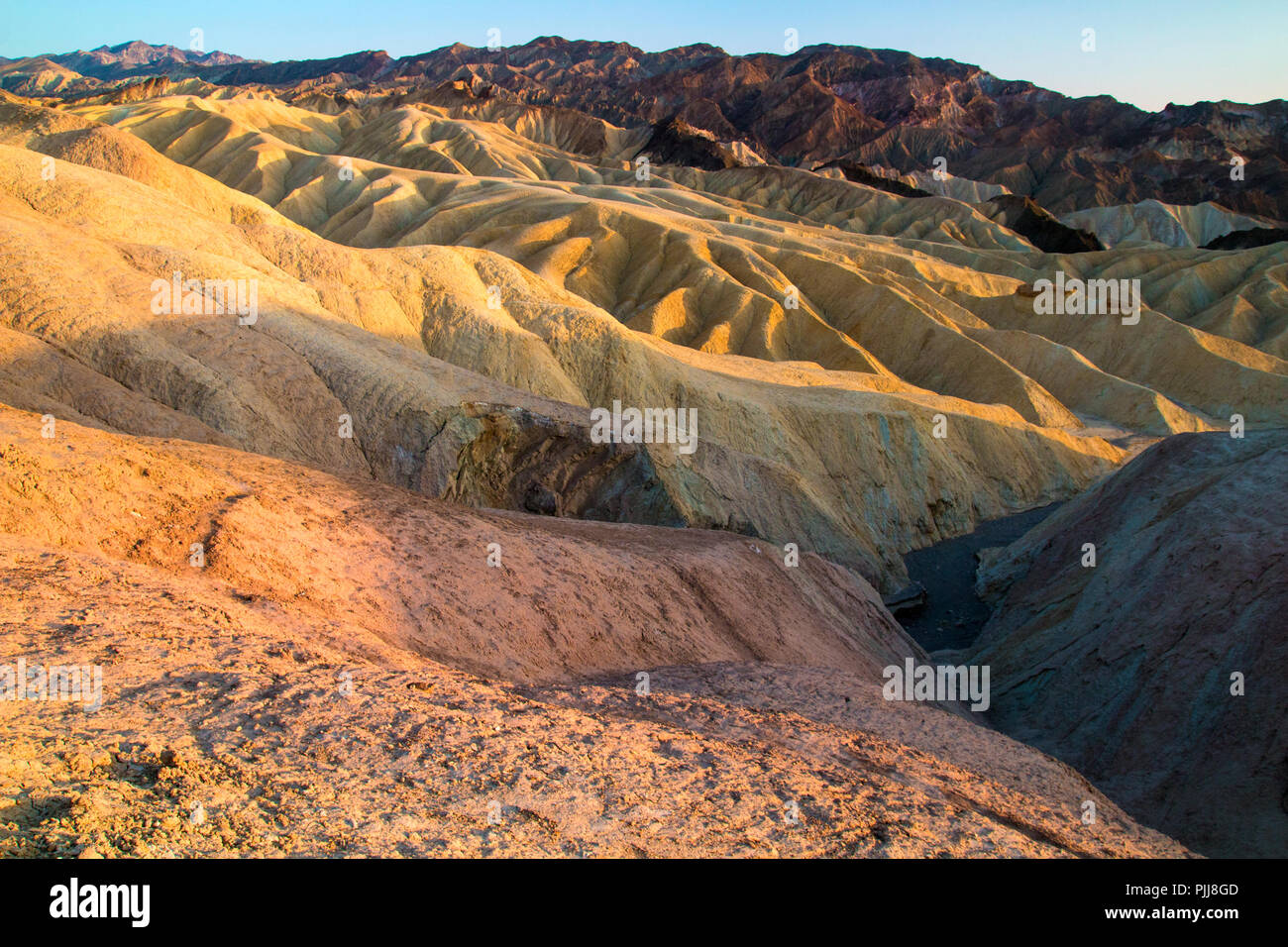 The Colorful Eroded Ridges of Zabriskie Point, dry mudstone mountains ...