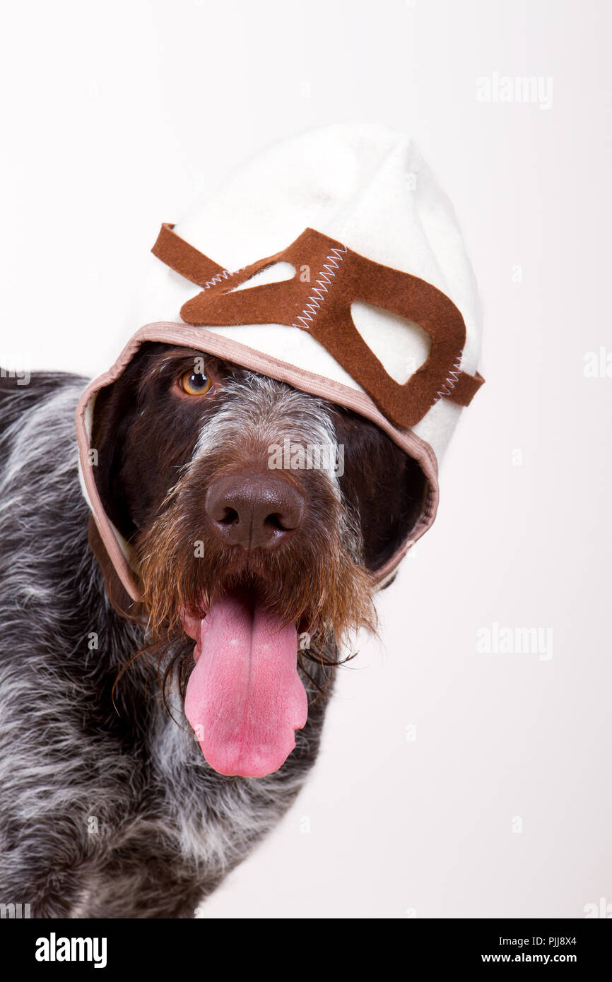 Pilot wearing helmet hi-res stock photography and images - Alamy