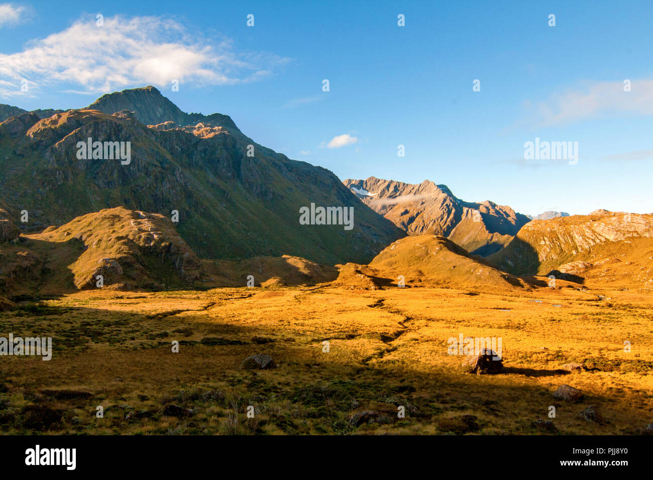 Golden landscape of Southern Alps on the evening light while setting ...