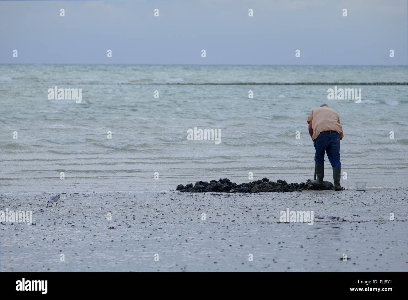 Bait digging beach hi-res stock photography and images - Alamy