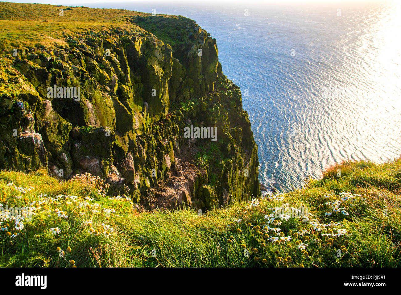 Green Icelandic cliffs at dramatic lighting above ocean, Látrabjarg ...