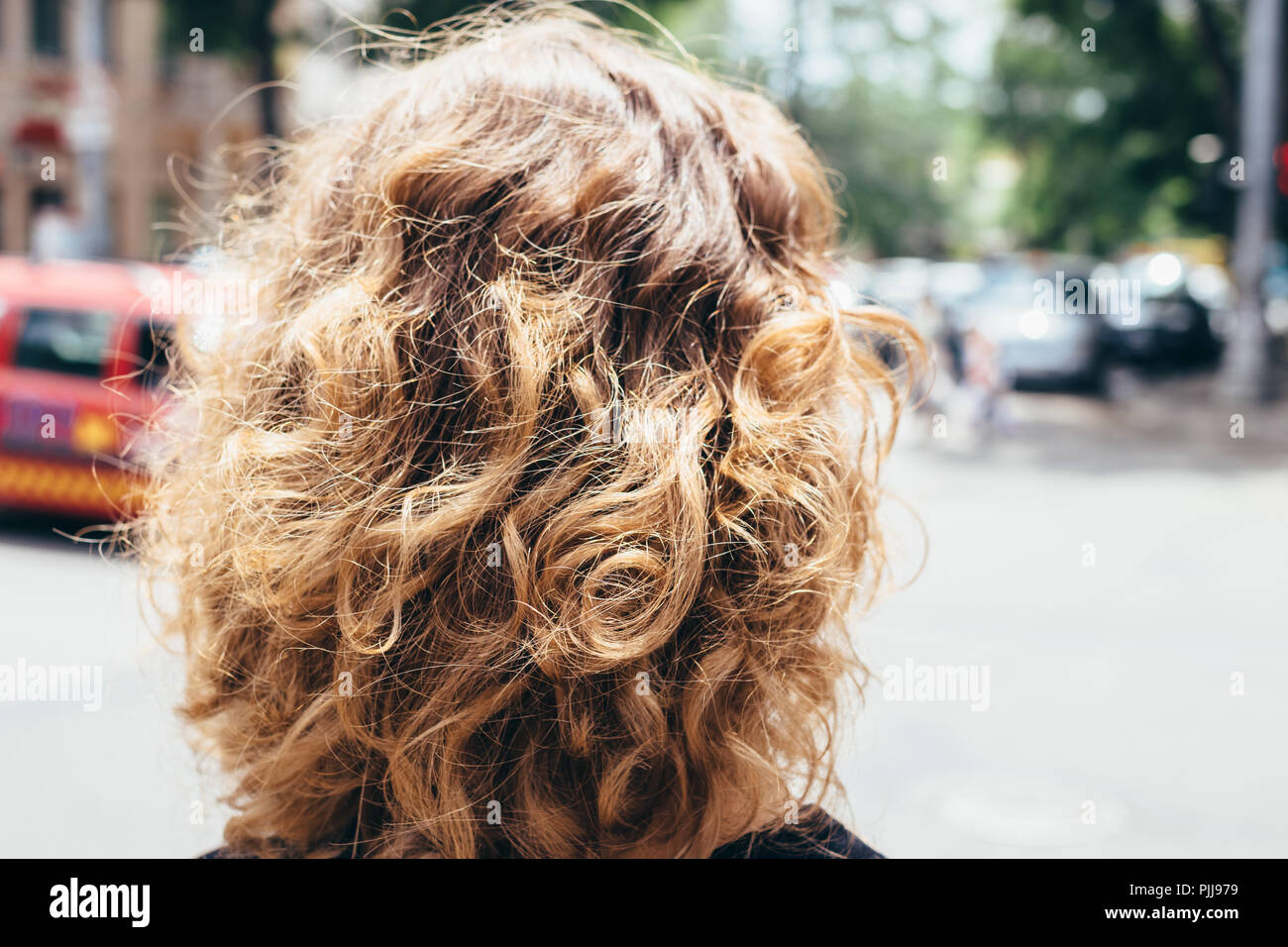 Curly Brown Hair From The Back