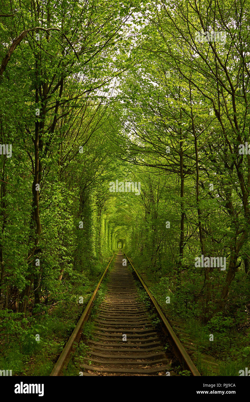 Tunnel of love ukraine hi-res stock photography and images - Alamy