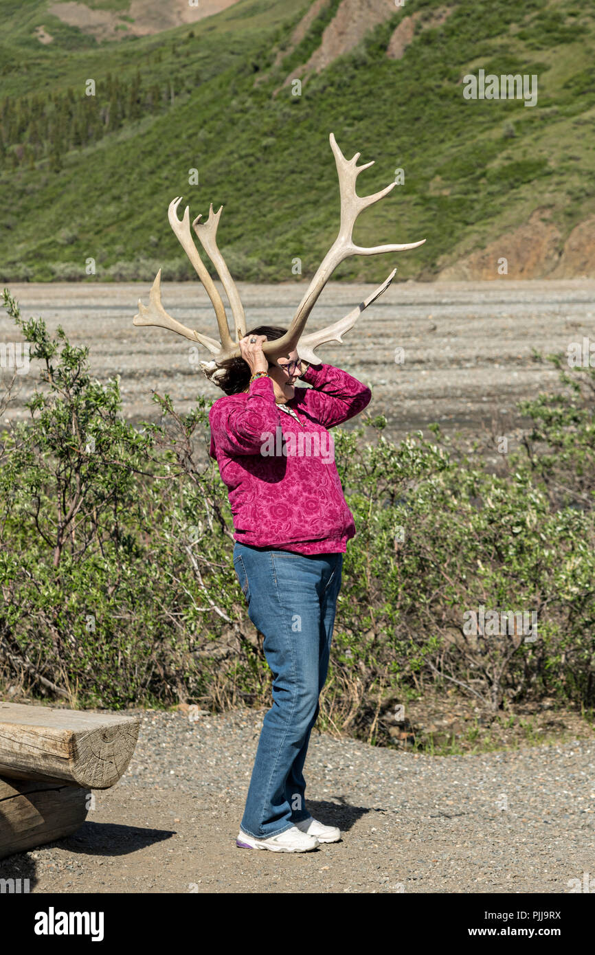A visitor holds up a pair of Elk antlers during a stop at the Teklanika ...