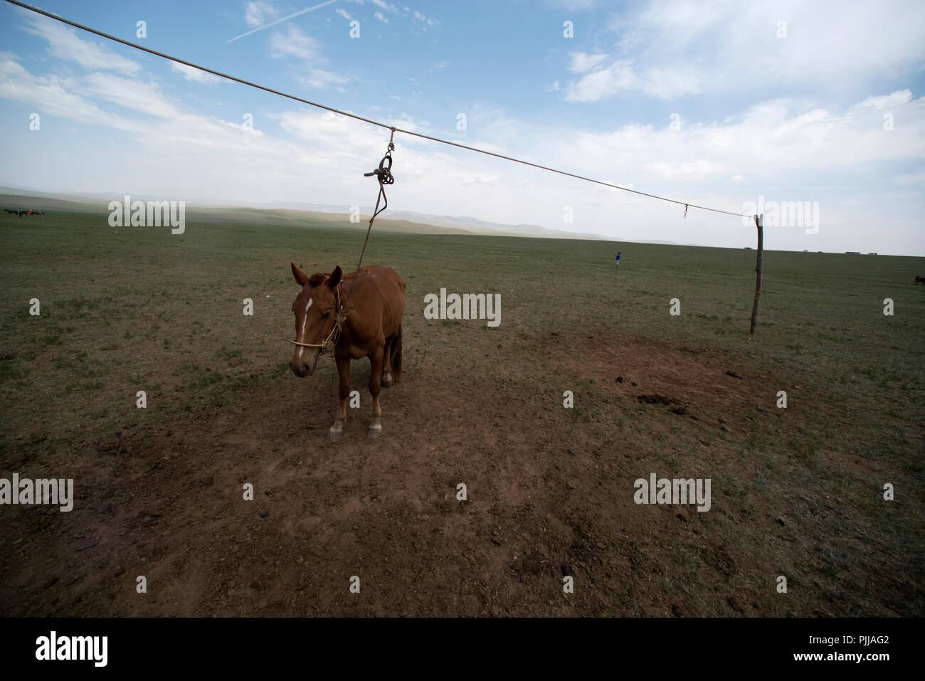 The Mongolian Countryside Stock Photo - Alamy