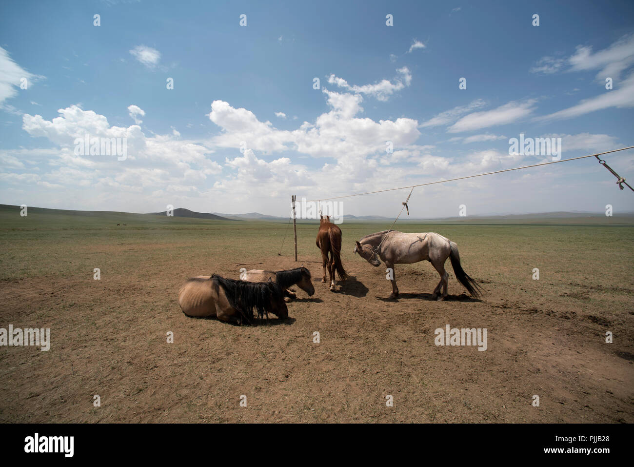 The Mongolian Countryside Stock Photo - Alamy