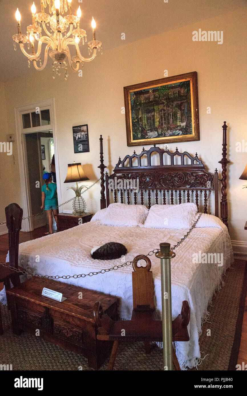 Hemingway house cats hi-res stock photography and images - Alamy