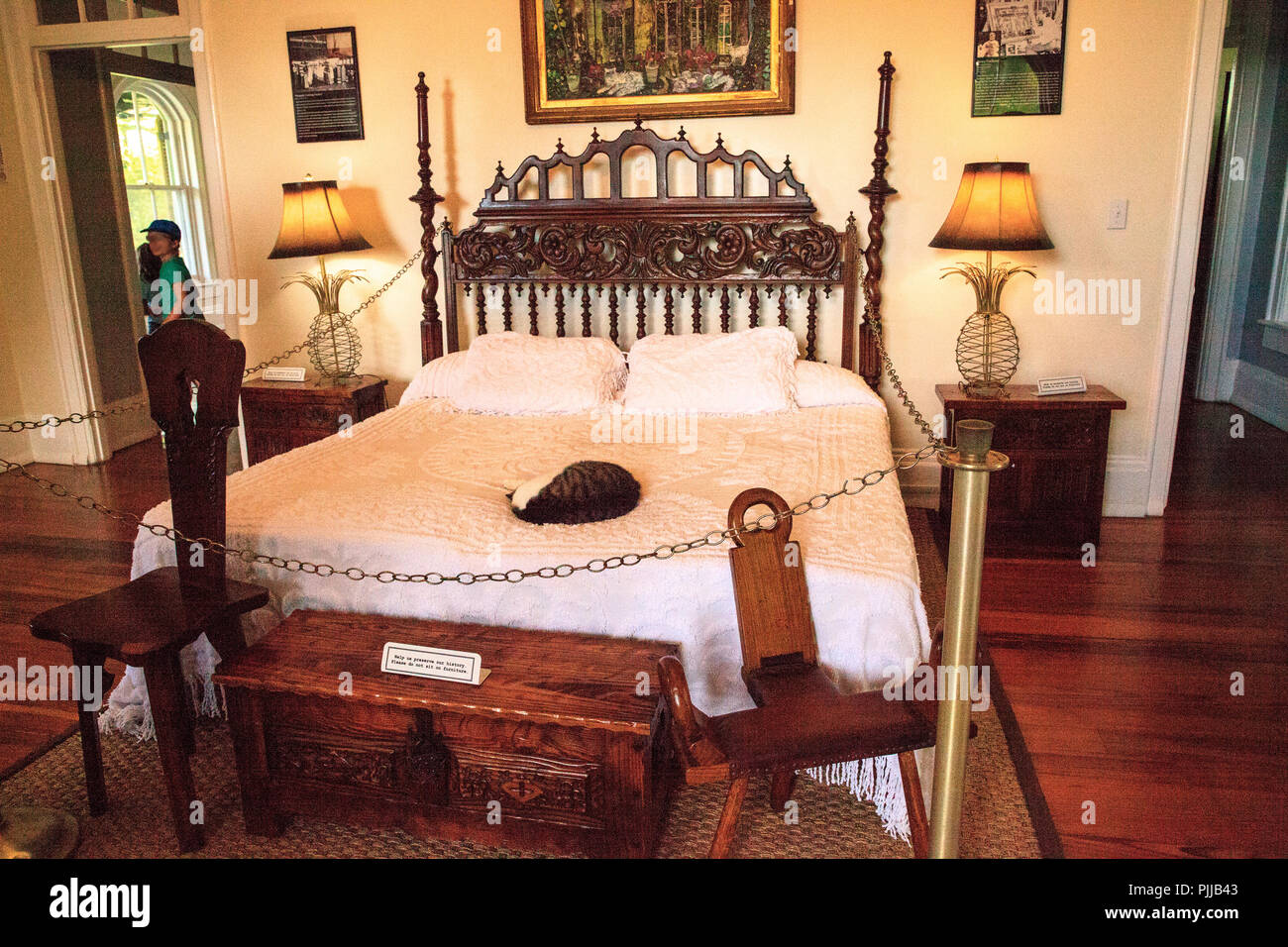 Hemingway house cats hi-res stock photography and images - Alamy