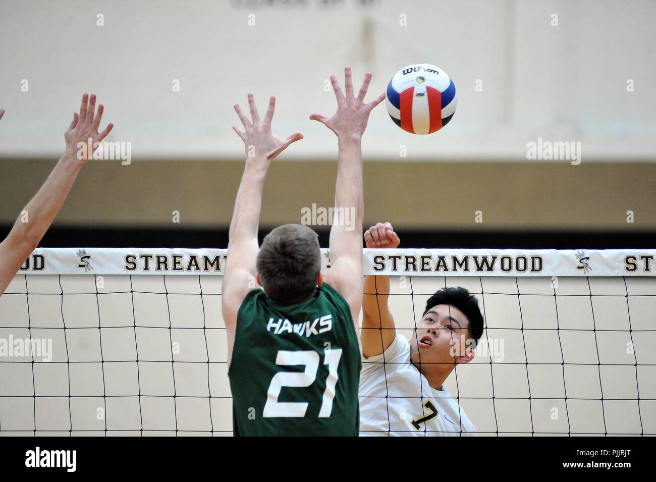 Winner and his opponent hi-res stock photography and images - Alamy