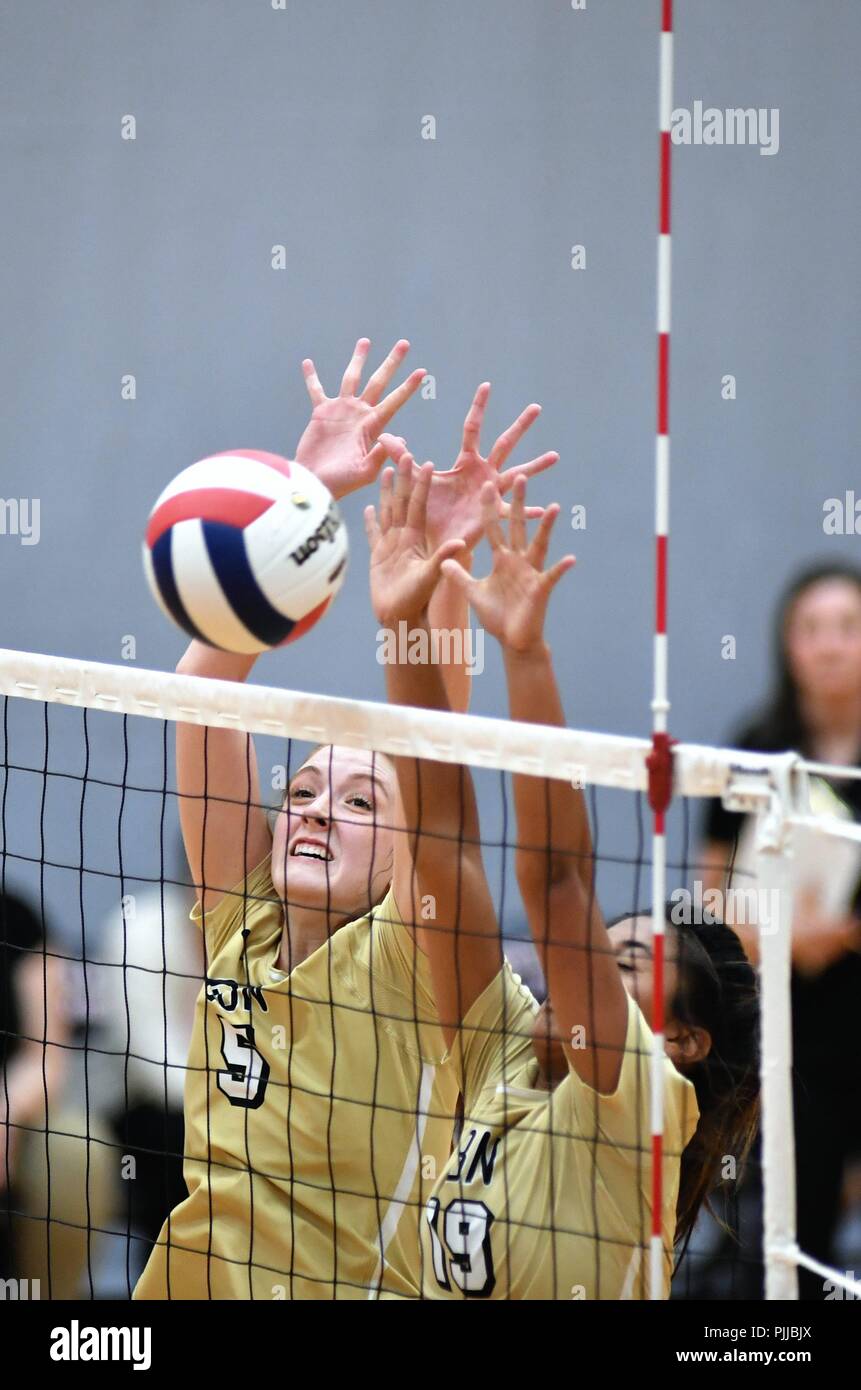 Attempt to block hi-res stock photography and images - Alamy