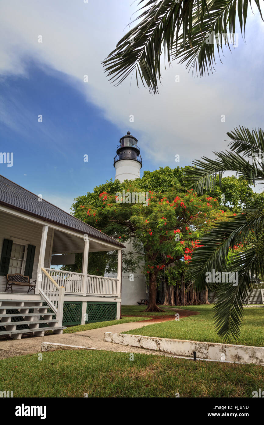 Key West Lighthouse with a Poinciana tree out front overlooks Old Town ...