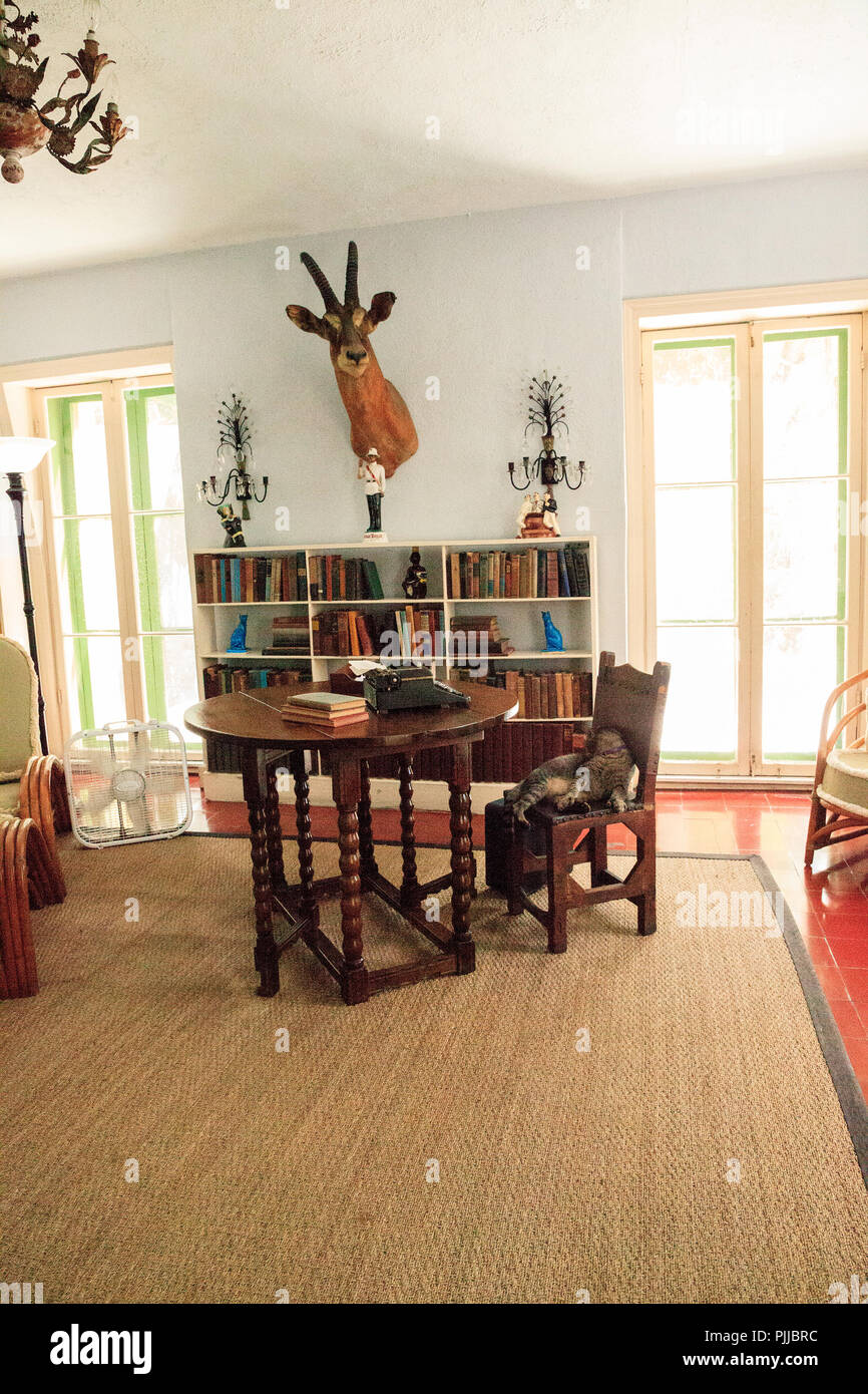 Hemingways Office High Resolution Stock Photography and Images - Alamy