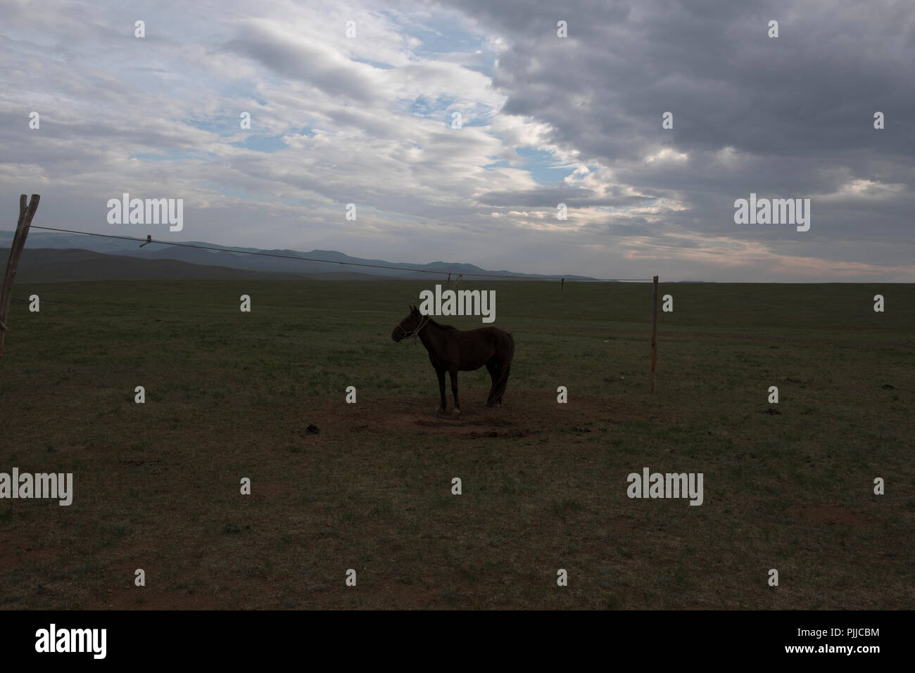 The Mongolian Countryside Stock Photo - Alamy