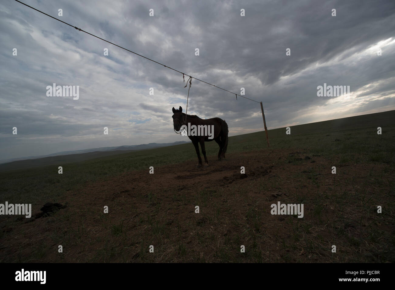 The Mongolian Countryside Stock Photo - Alamy