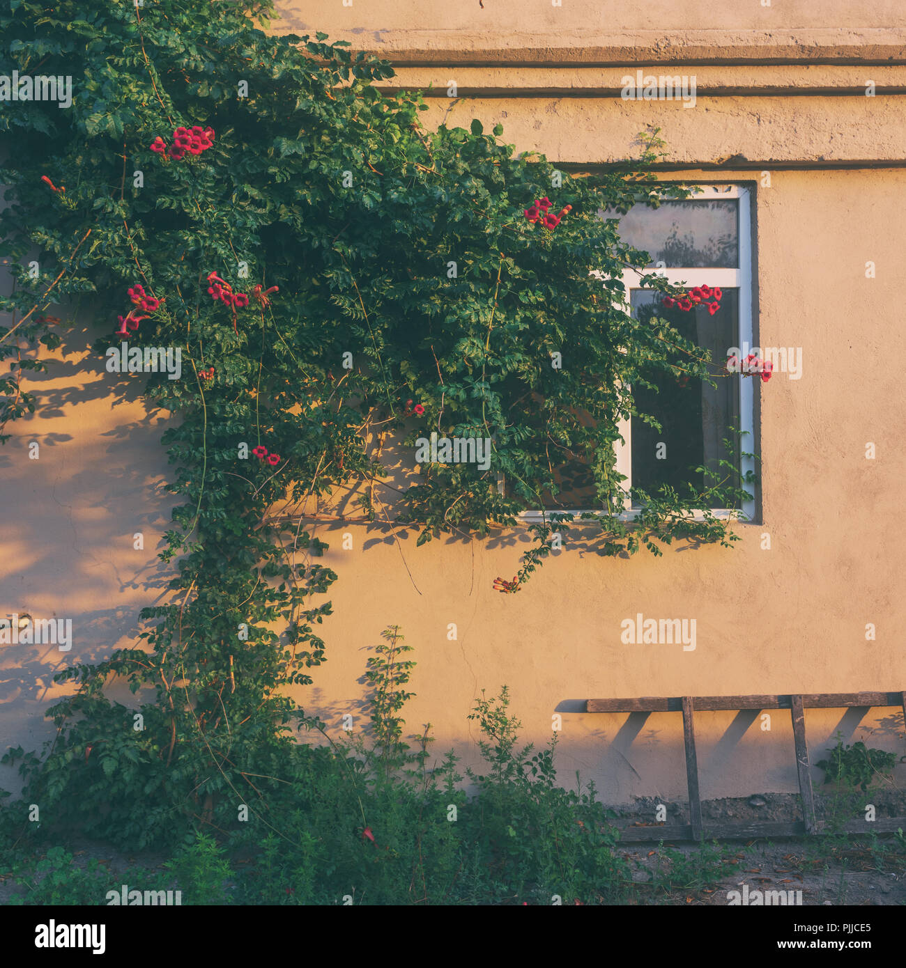Modern cottage exterior window hi-res stock photography and images - Alamy