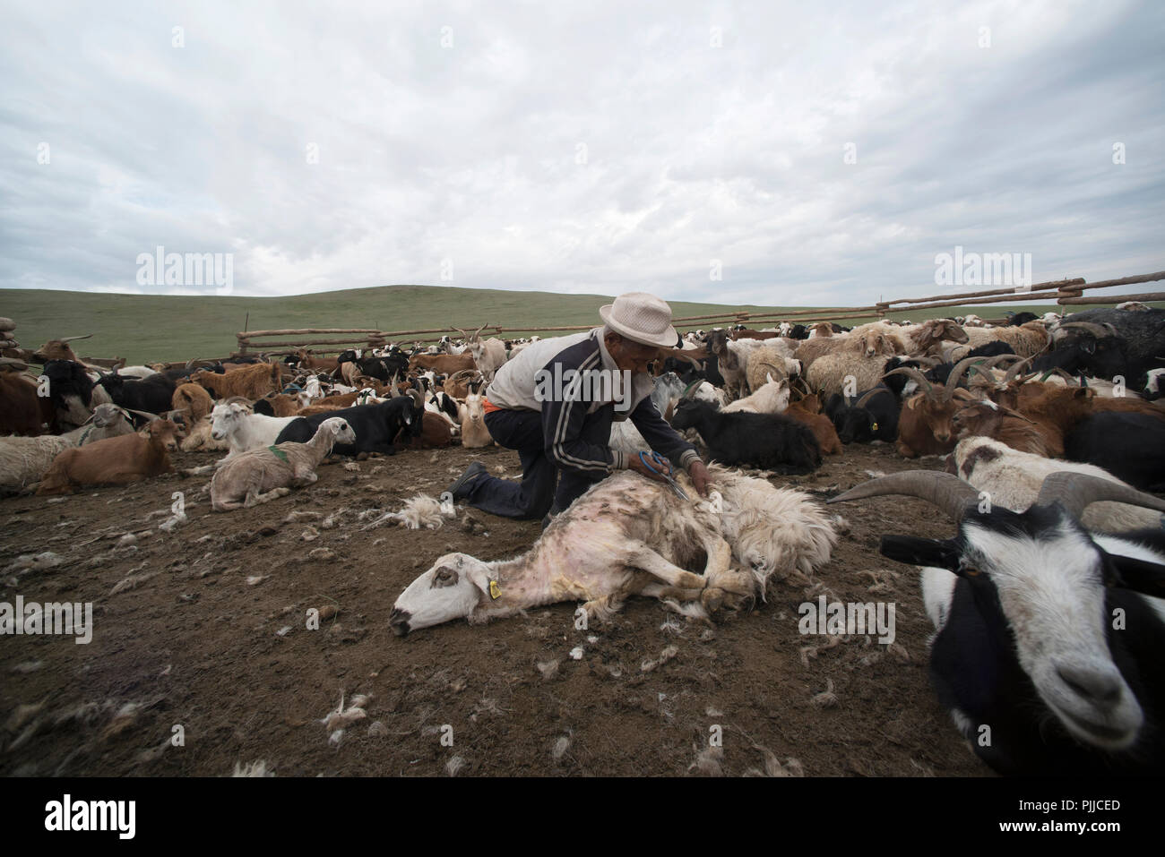 The Mongolian Countryside Stock Photo - Alamy