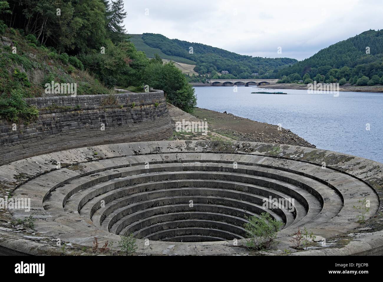 Taken to record the impact of the hottest summer on record (2018) on ...