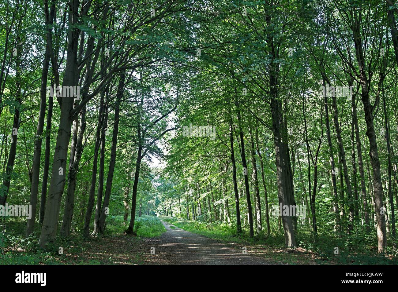 Whitwell hi-res stock photography and images - Alamy
