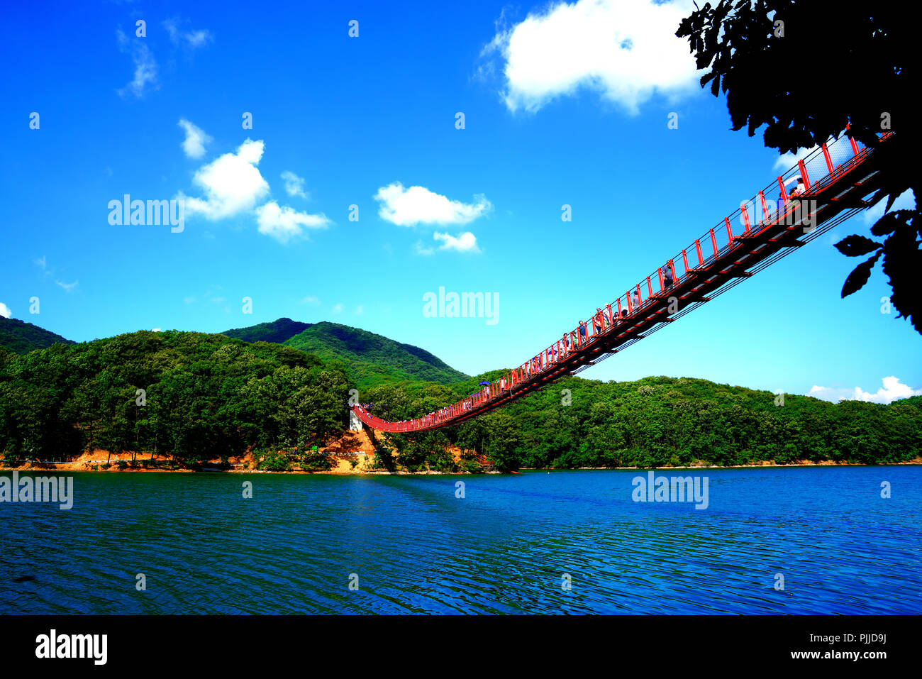 A lake with a hanging bridge Stock Photo - Alamy