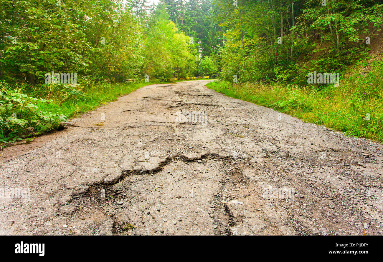 cracked damaged road in the forest Stock Photo - Alamy
