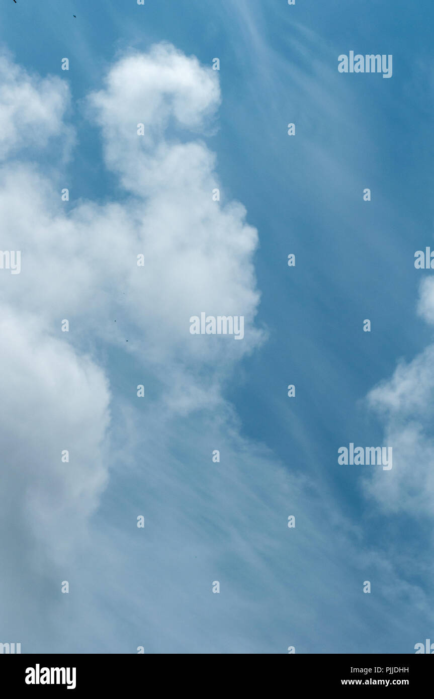 Fluffy clouds float across blue hi-res stock photography and images - Alamy