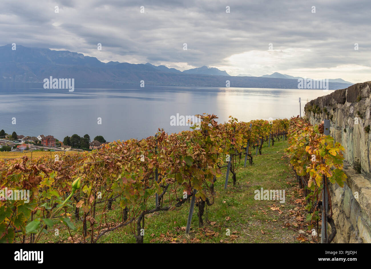 Lausanne swiss riviera wine tour hi-res stock photography and images ...