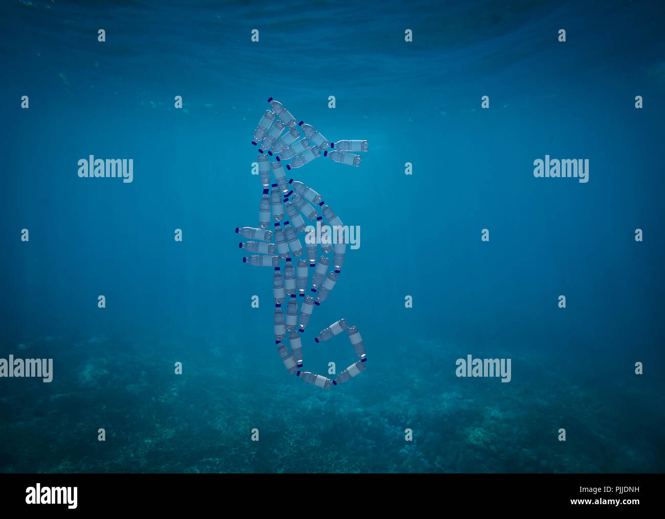 Seahorse made with plastic bottles, pollution that kill seaside, 3d ...