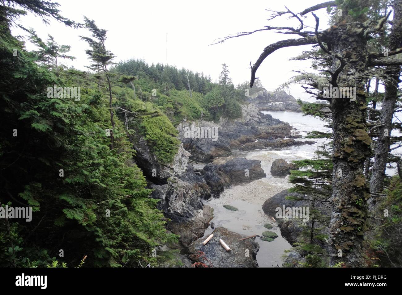 Ocean windy pacific ocean windy hi-res stock photography and images - Alamy