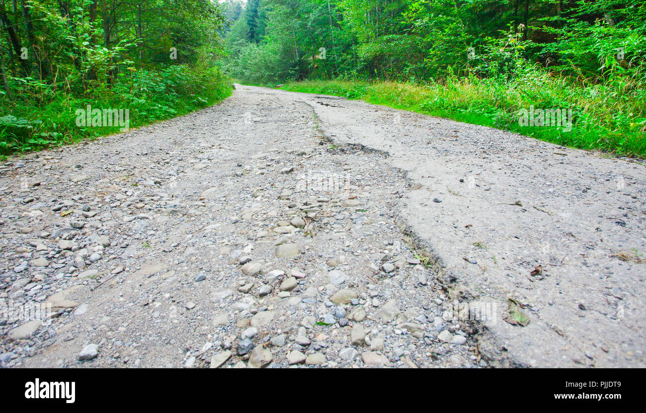 cracked damaged road in the forest Stock Photo - Alamy