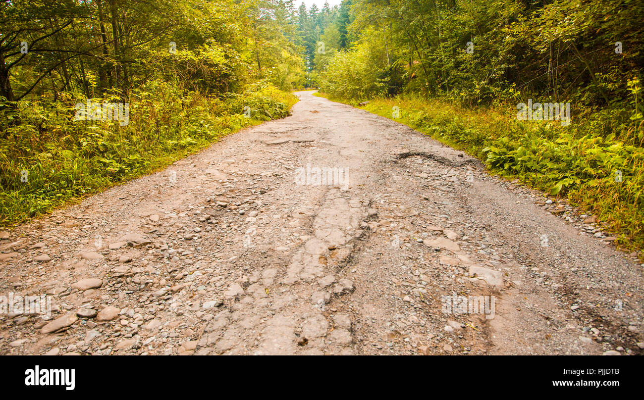 cracked damaged road in the autumn forest Stock Photo - Alamy