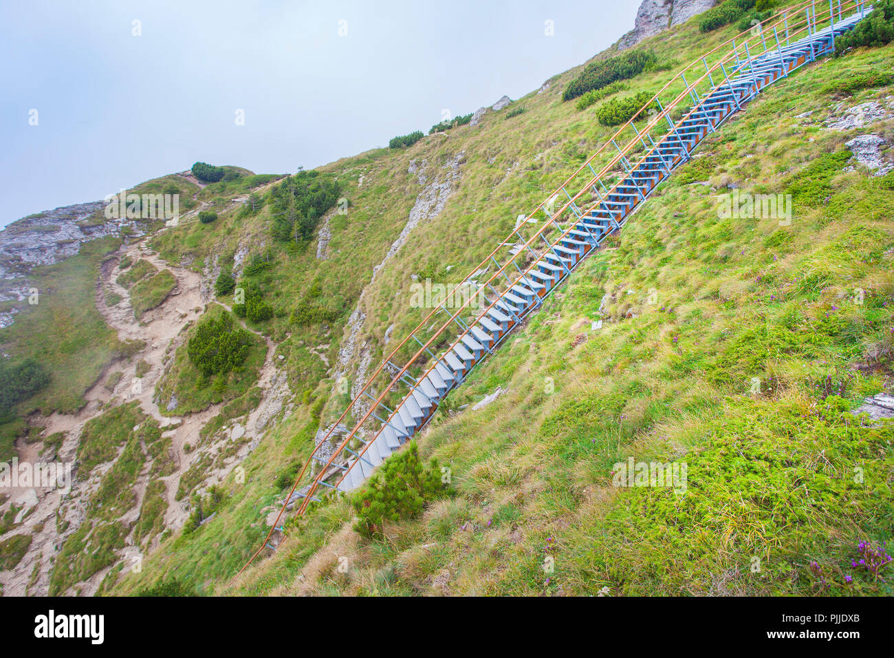 ladder with stairs in the beautiful mountain landscape. Ceahlau, Toaca ...