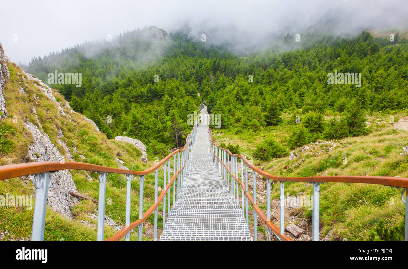 ladder with stairs in the beautiful mountain landscape. Ceahlau, Toaca ...
