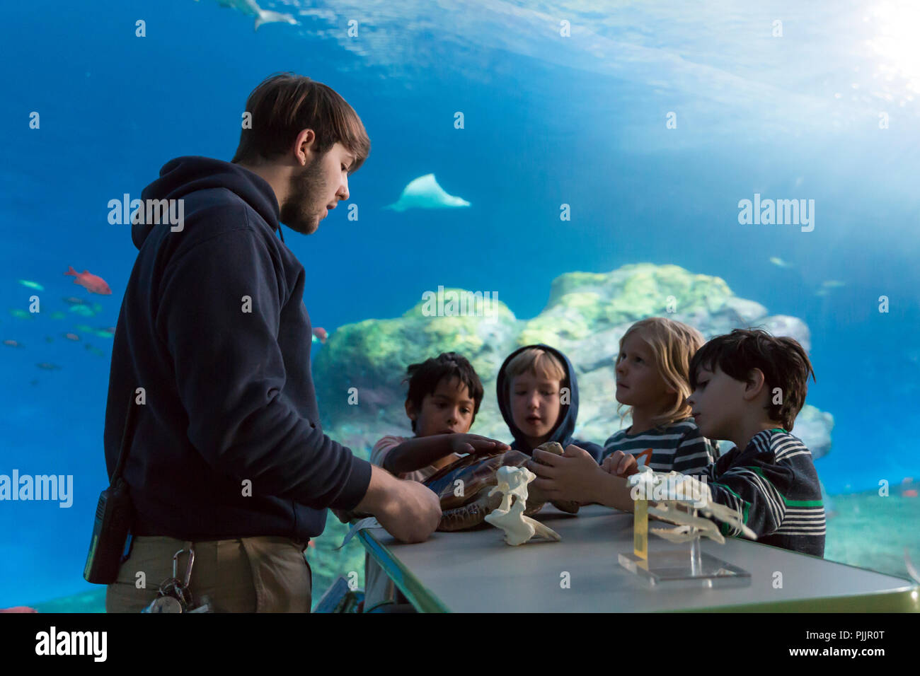 Ecologist children hi-res stock photography and images - Alamy