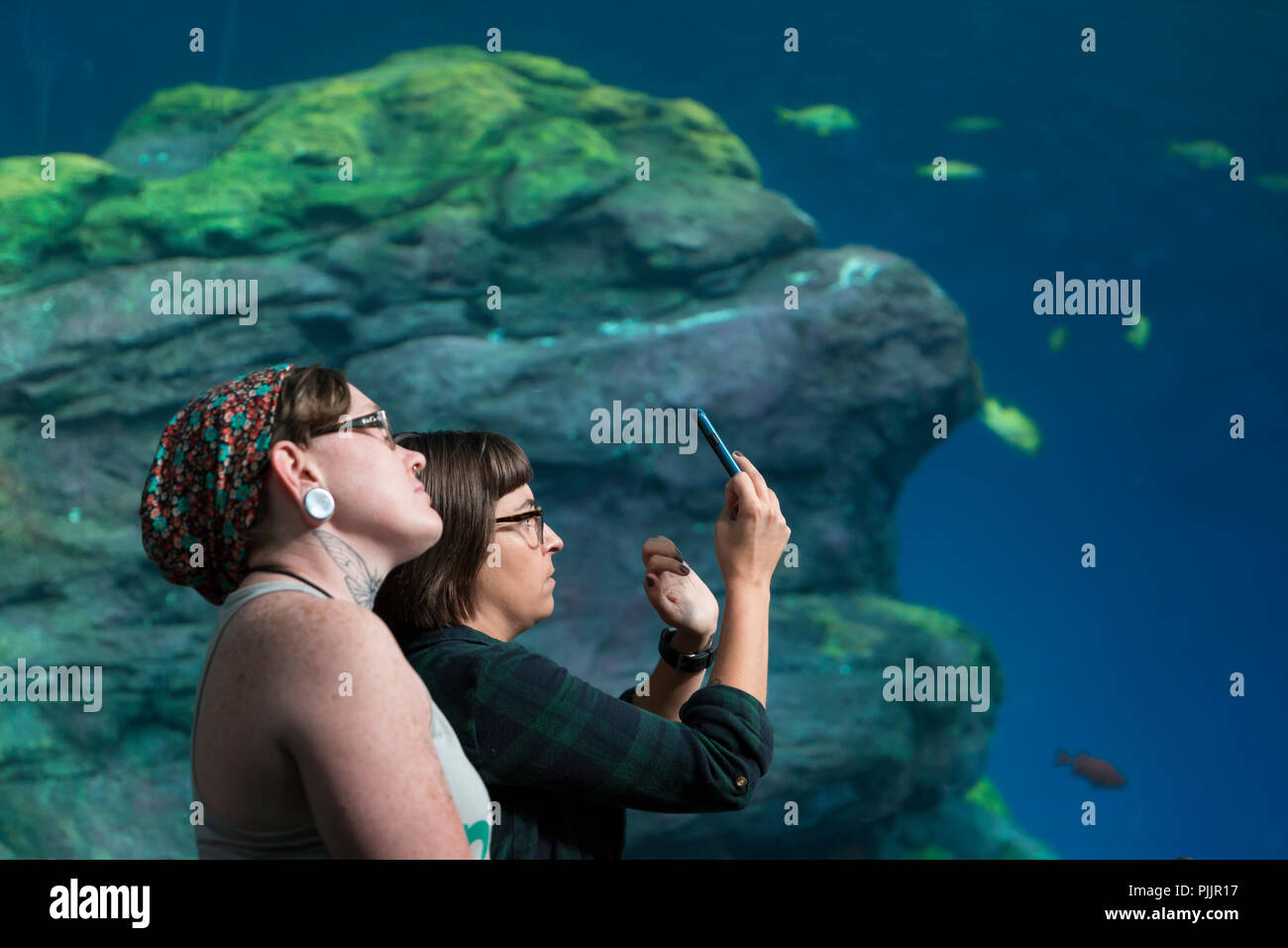 Lisa fish hi-res stock photography and images - Alamy