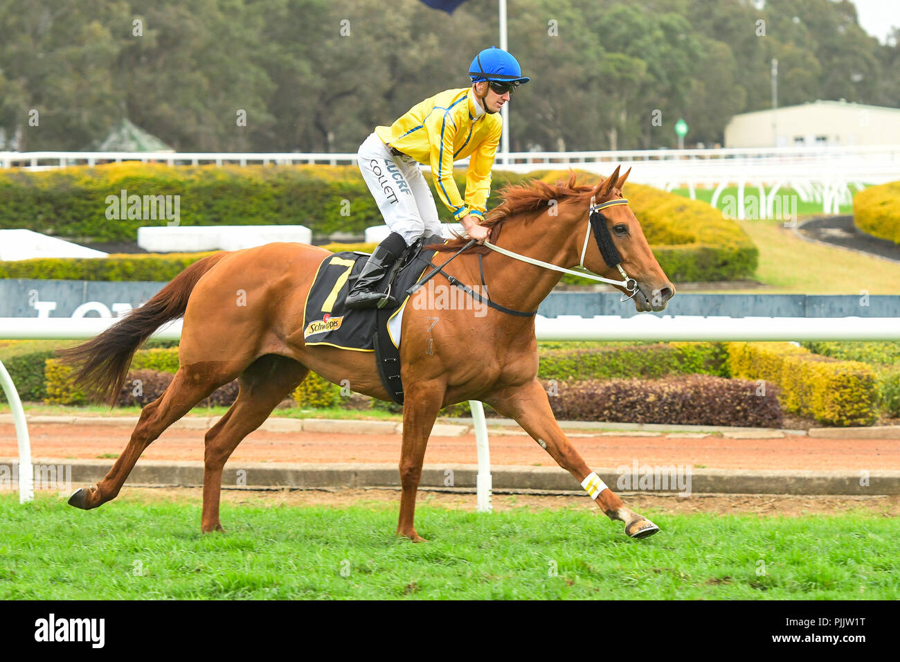 Sydney, Australia. 08 Sep 2018. Jockey Jason Collett rides Conarchie to ...