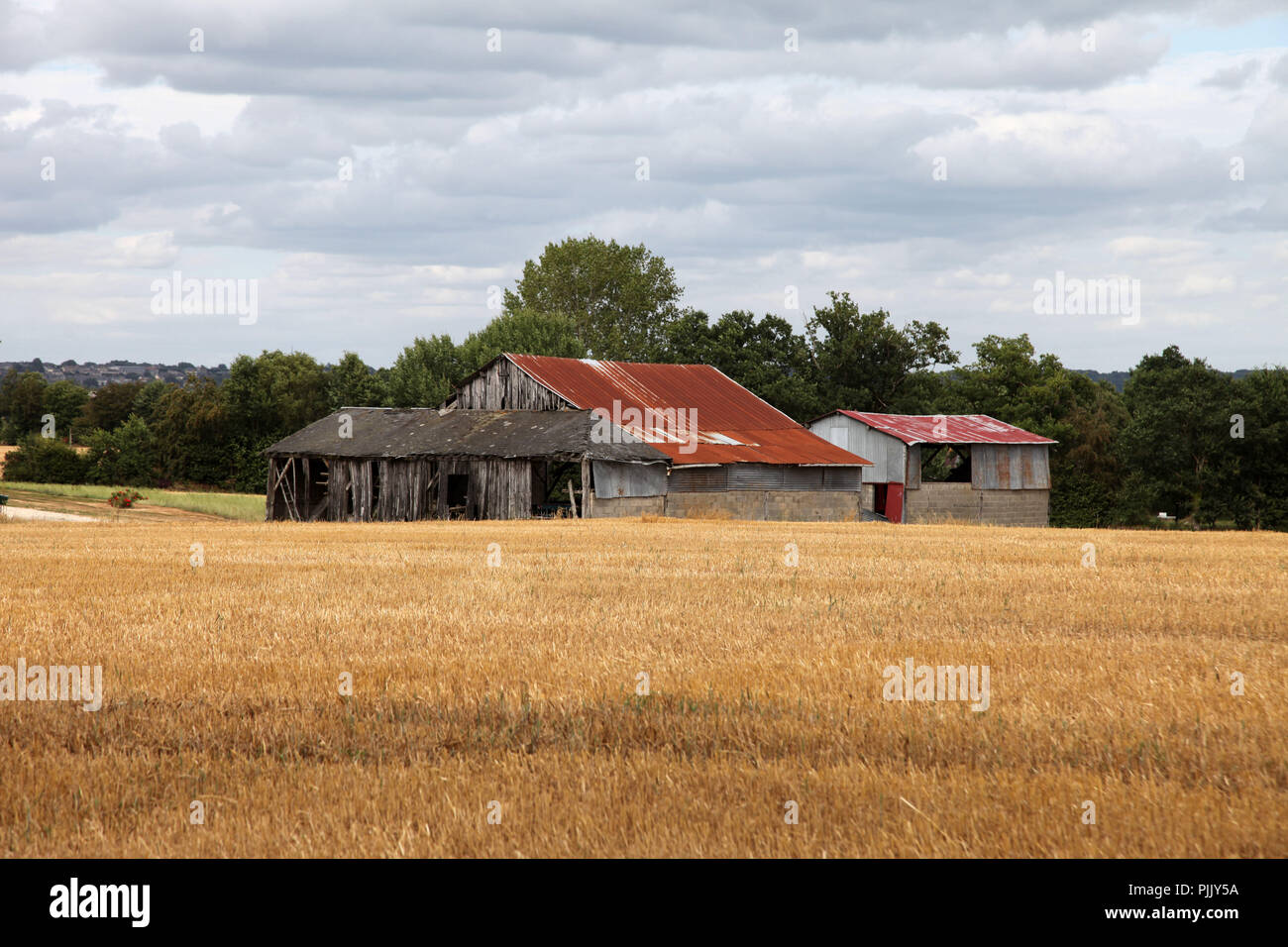 Normandy landscape farm with wheat field with local barns Stock Photo ...
