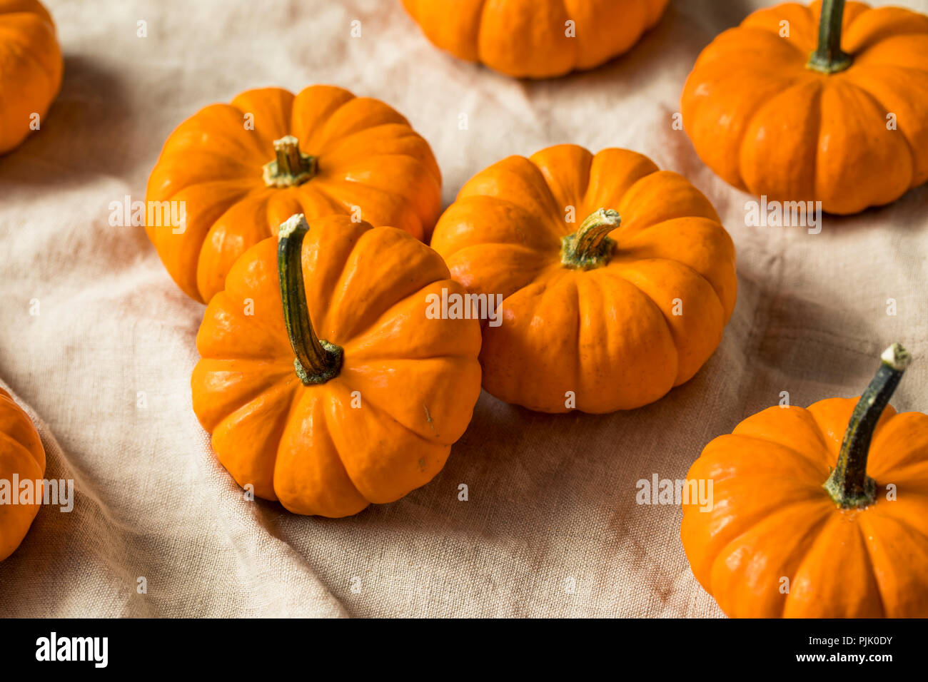 Orange mini hi-res stock photography and images - Alamy
