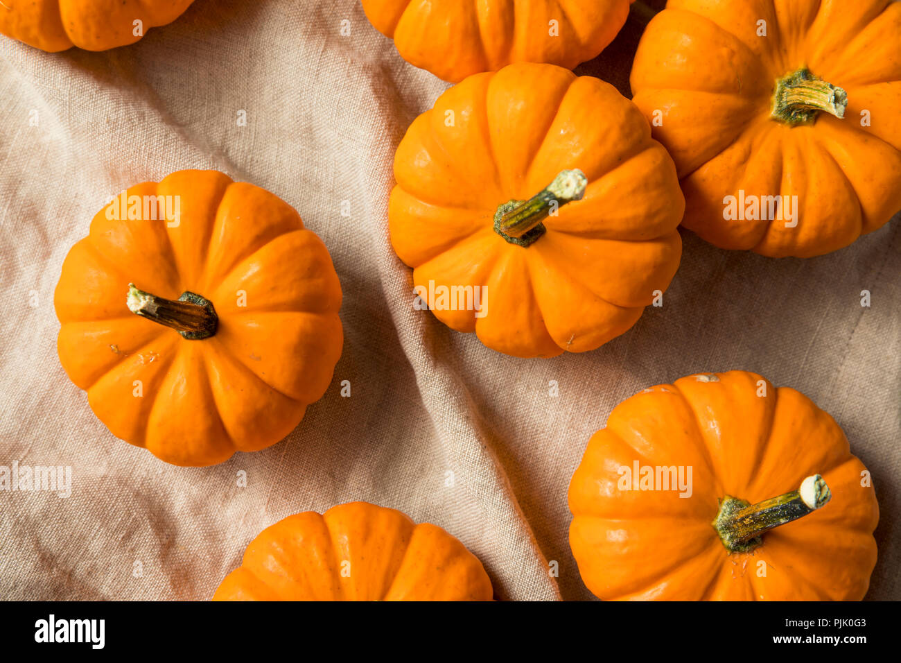Orange mini hi-res stock photography and images - Alamy