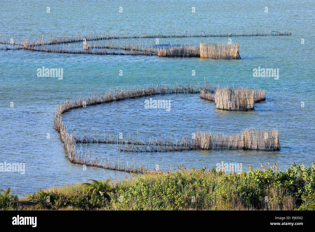 Traditional Tsonga fish traps built in the Kosi Bay estuary, Tongaland ...