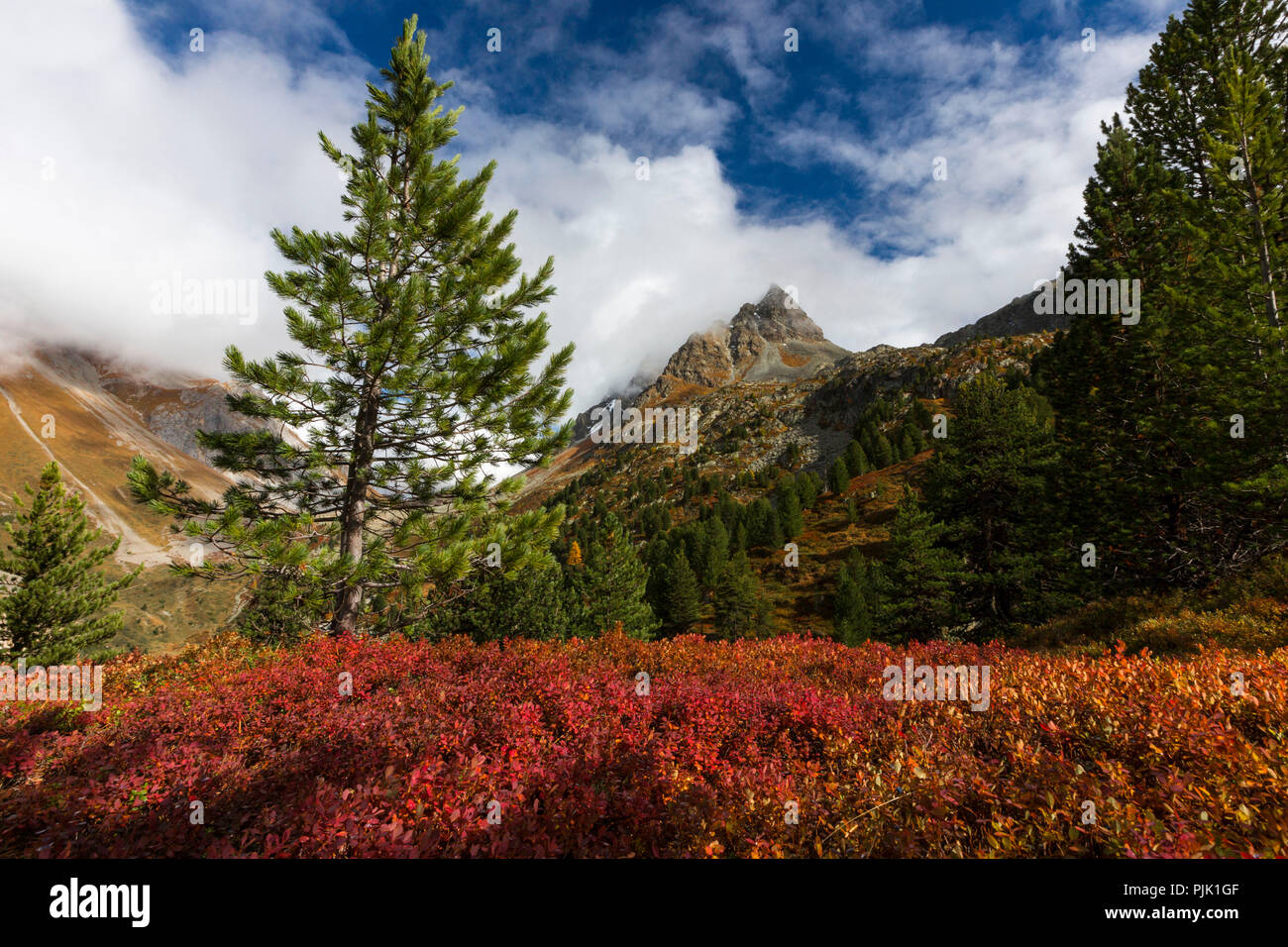 Autumn at the Albula Pass, canton of Grisons, Switzerland, Colourful ...