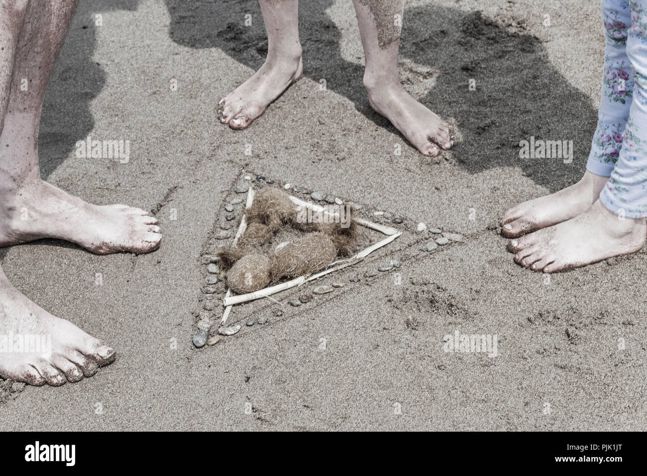Three pairs of legs around object from Strandgut Stock Photo - Alamy