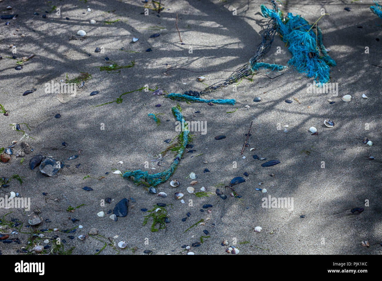 Old fishing net and shells on the beach Stock Photo - Alamy