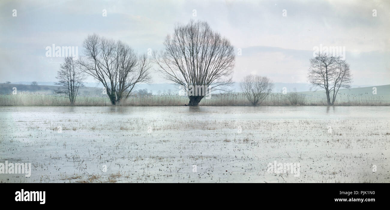 Desolate Winter Landscape
