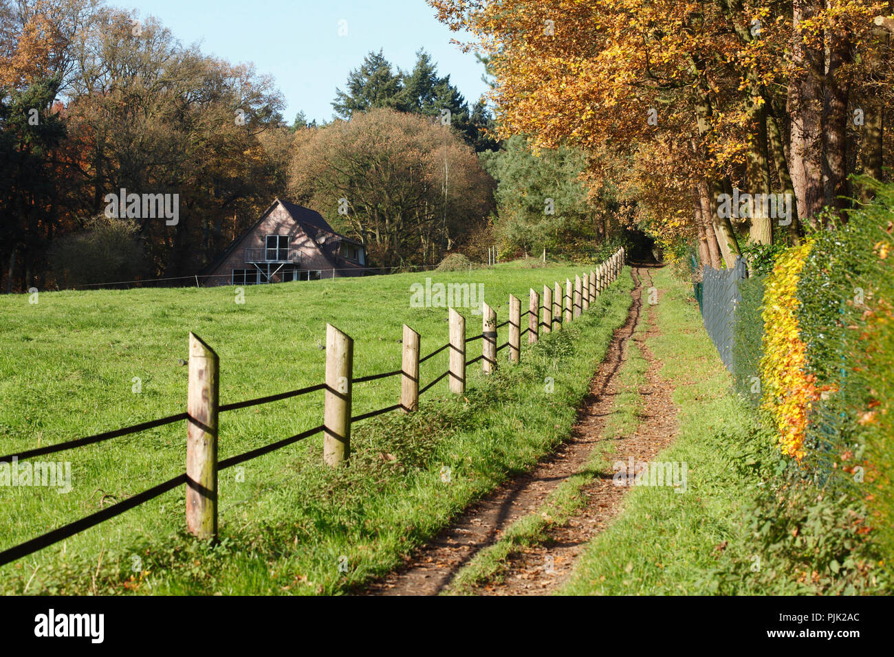 Meadow path with wooden fence in autumn, in the background farmhouse ...