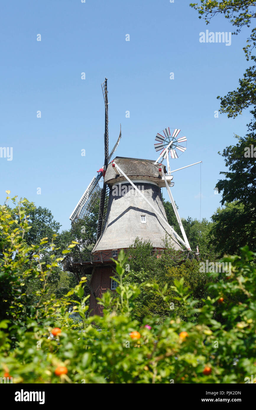 Bad Zwischenahn, windmill smock mill in the open-air museum Ammerländer ...