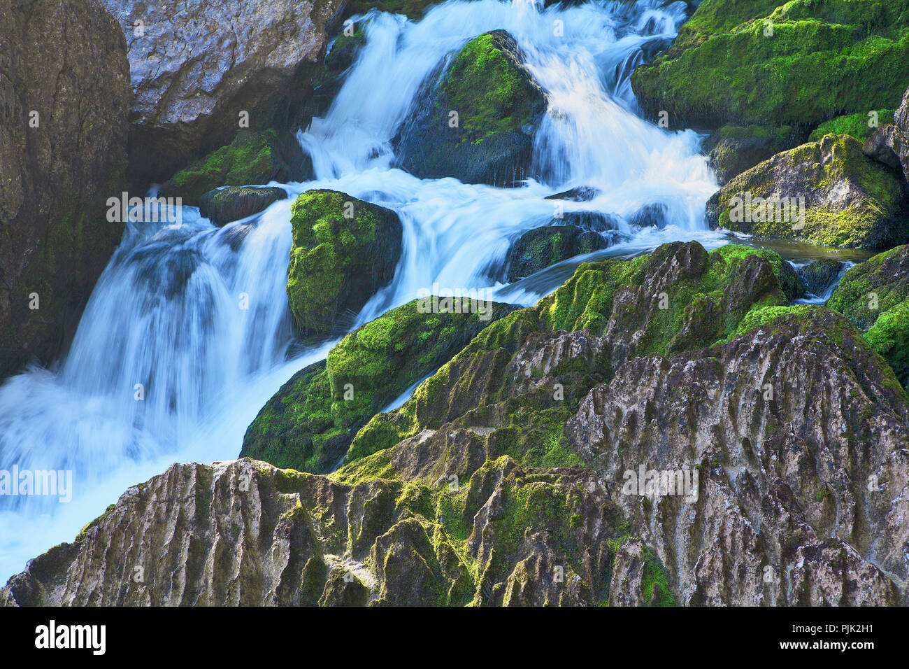 Stream and mossy rocks hi-res stock photography and images - Alamy