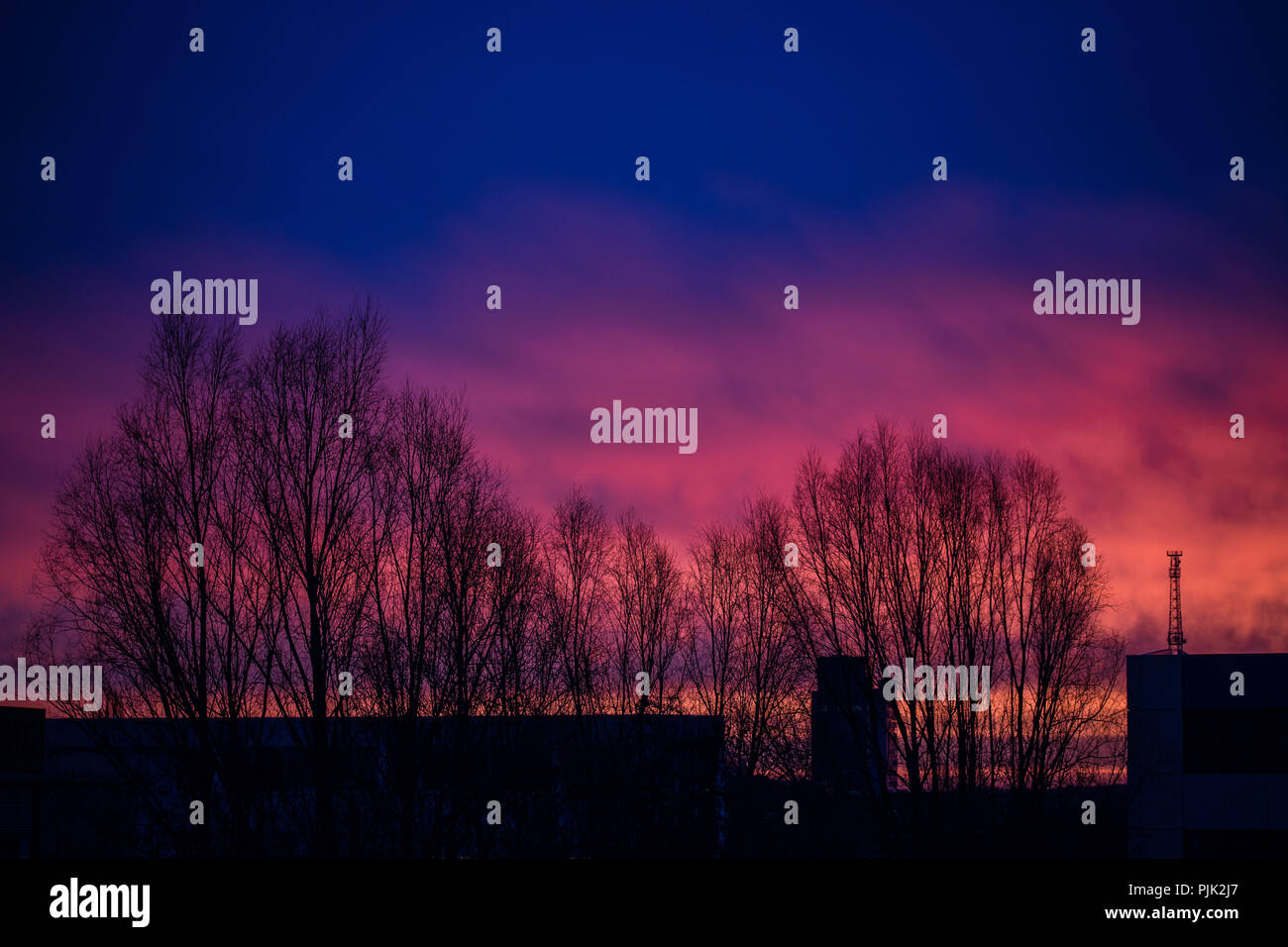 Bright red sky with blue edge, trees in foreground in black, contours ...